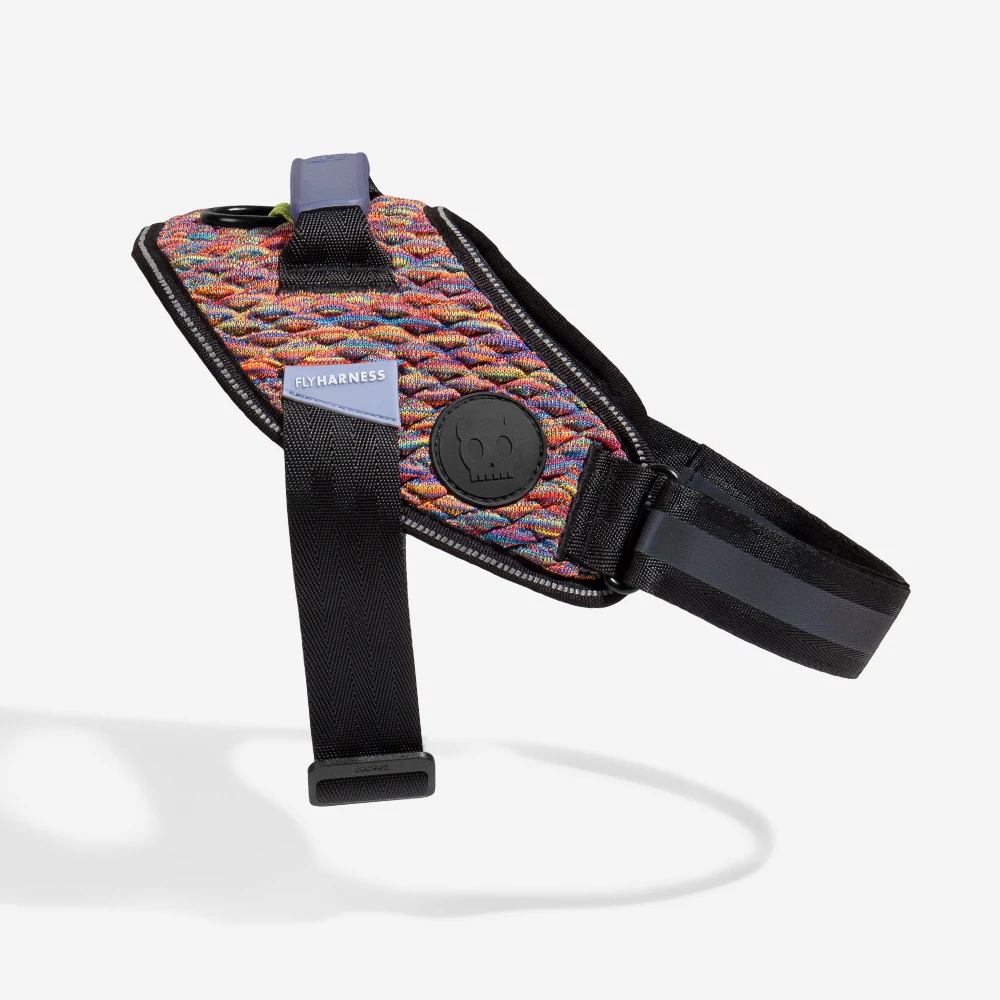 Pretal Fly Vortex - Box.Dog